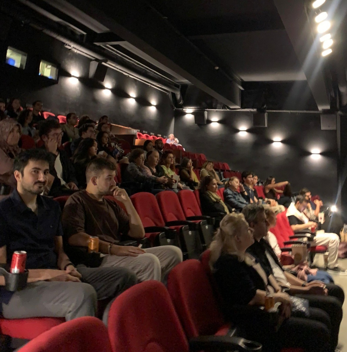 Celebrating cultural heritage through cinema: screening of The Helsinki ...