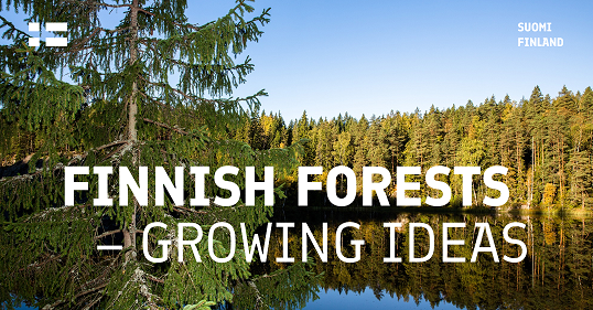 Finnish forests - growing ideas - growing ideas - growing ideas ...
